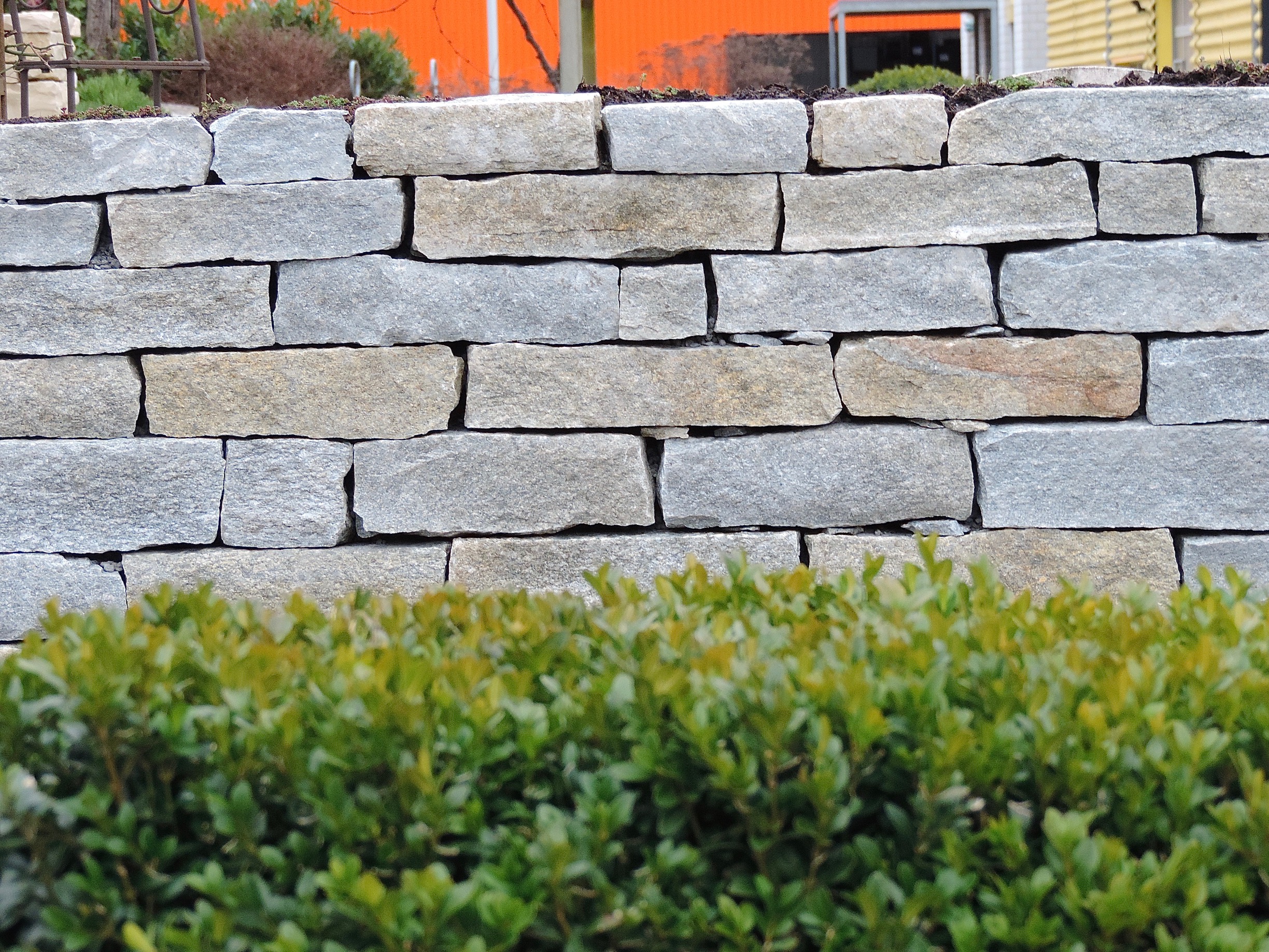 MAUERSTEIN GNEIS LUSERNA GESPALTEN - SOL AG